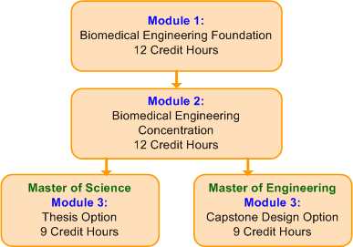 Biomedical Engineering Curriculum